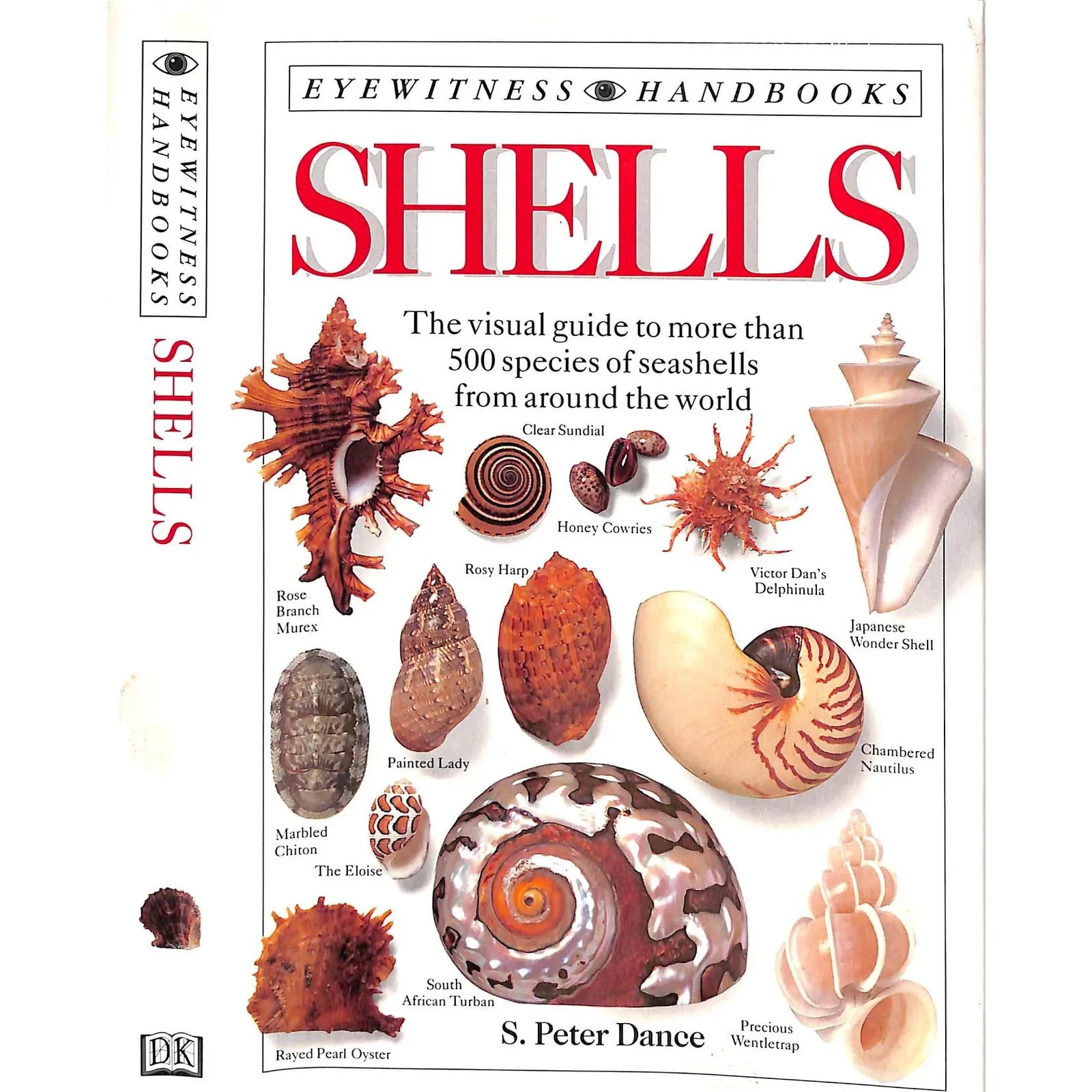 "Shells: The Visual Guide to More Than 500 Species of Seashells From ...