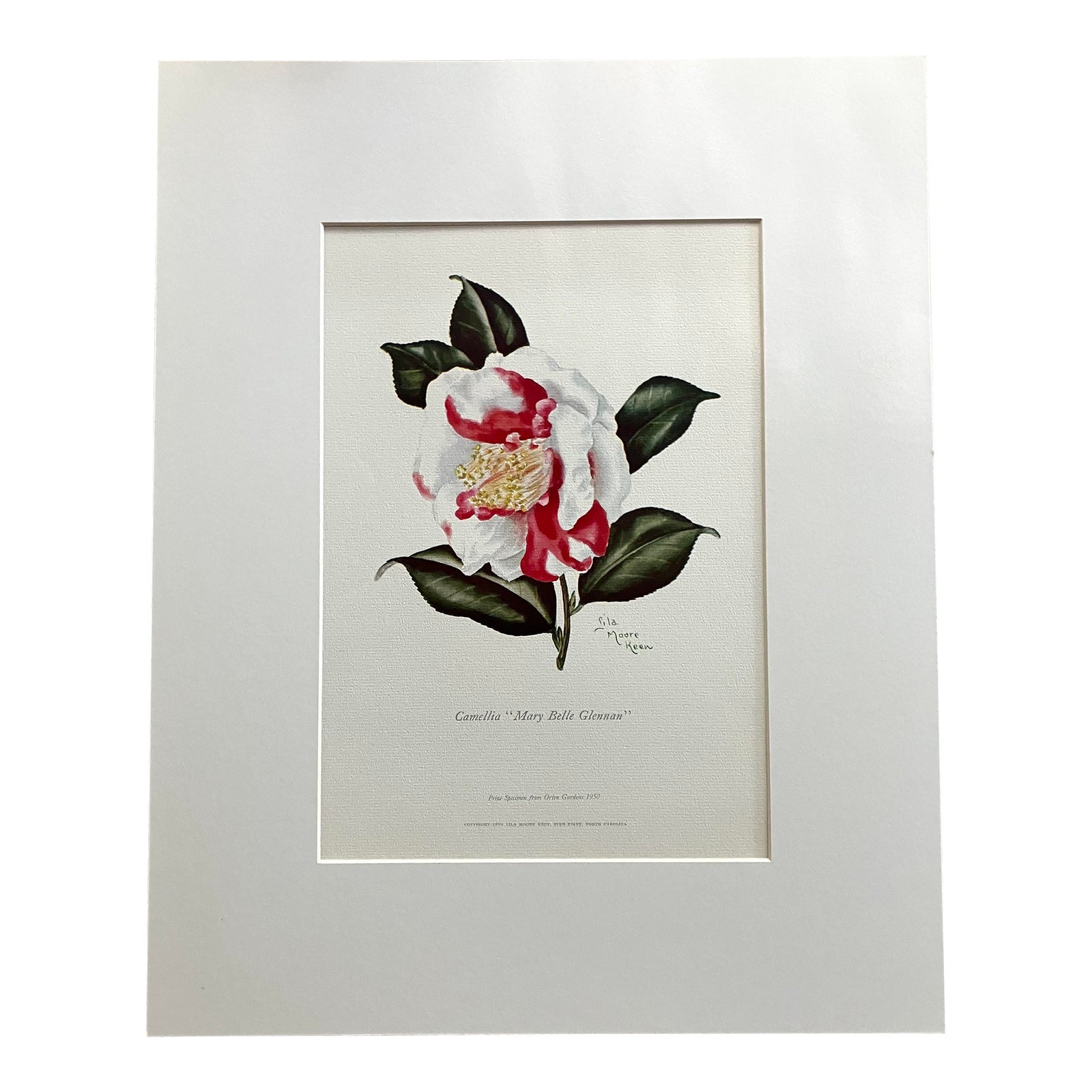 Vintage Lila Moore Keen "Camellia Mary Belle Glennan" Print in 16x20 ...