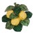 Vintage Italian Majolica Lemon Cluster Wall Hanging | Chairish