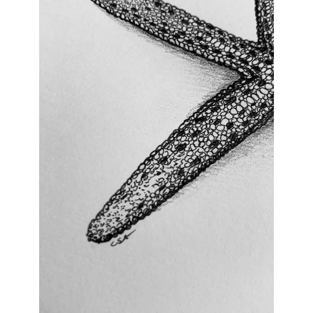 Original Pen & Ink Drawing "The Starfish" | Chairish