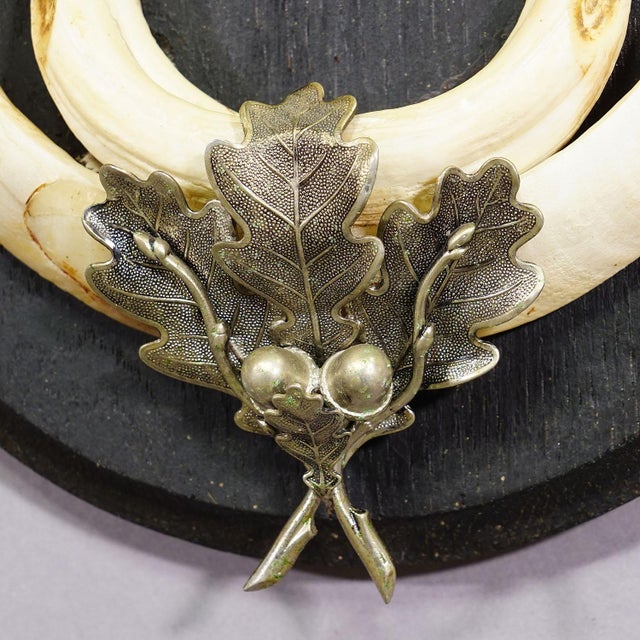 Large Wild Boar Trophy on Turned Wooden Plaque, Germany 1950s | Chairish