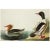 Red-Breasted Merganser and Goosander After Audubon, 1966 Cottage Print ...