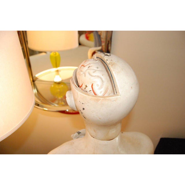 Medical Model by Denoyer Geppert | Chairish