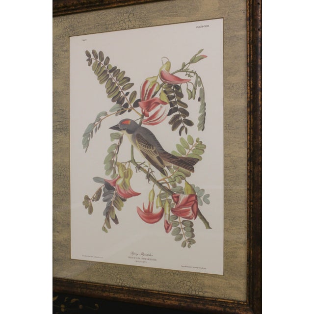 Pair Framed & Matted Botanical Bird Prints | Chairish
