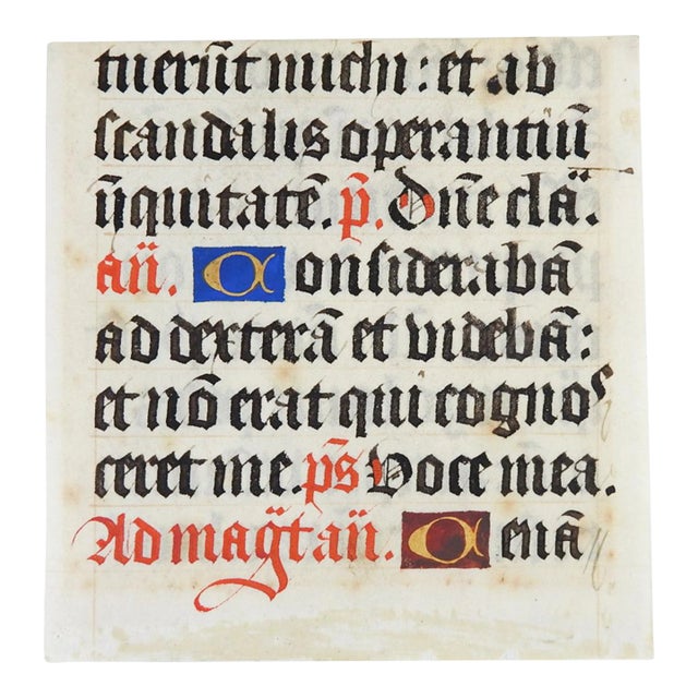 Small Illuminated Manuscript on Velum | Chairish