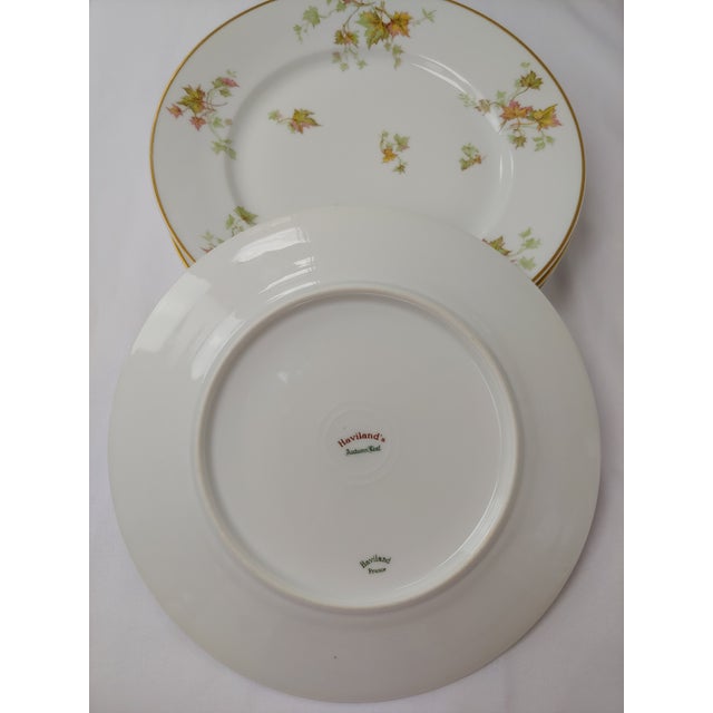 Vintage Haviland's Autumn Leaf Pattern Dinner Plates, Set of 6 | Chairish