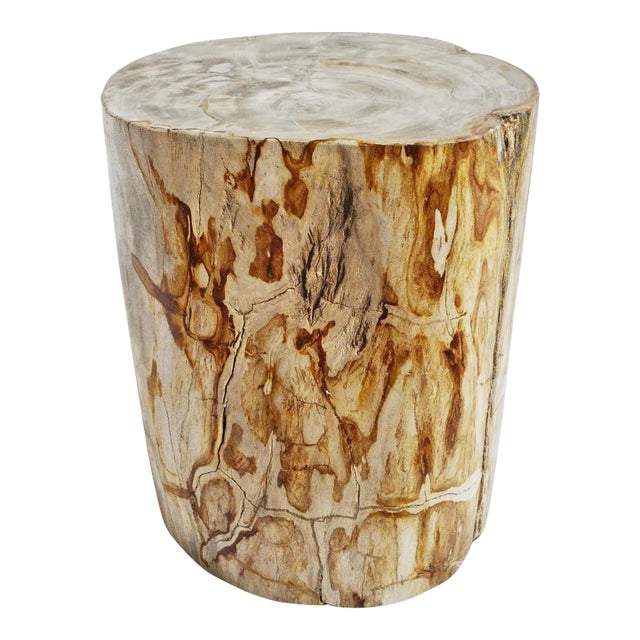 Petrified Wood Stump Side Table | Chairish
