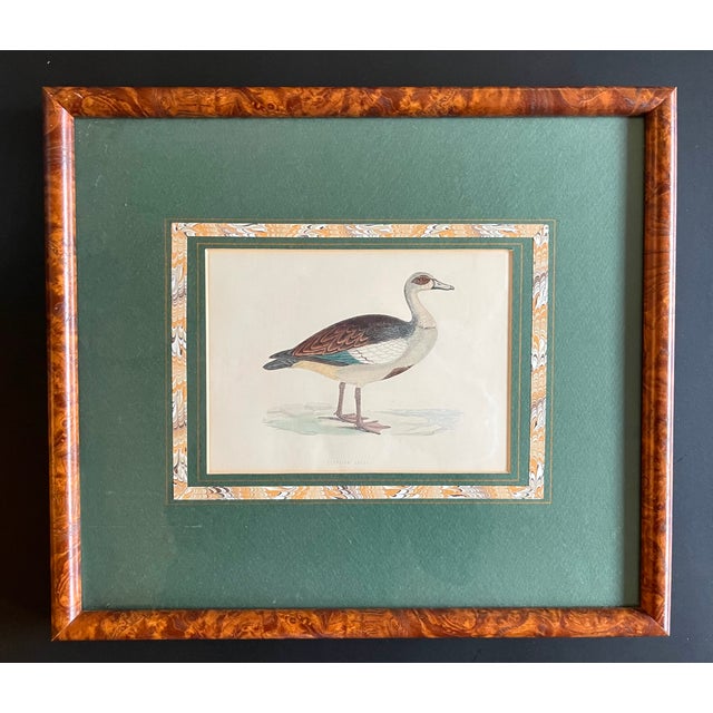 19th C. English Traditional Duck Bookplates -- a Pair | Chairish