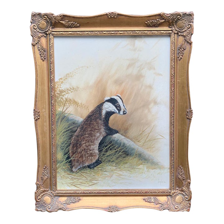 1970s Portrait of an English Badger in a Landscape, Framed | Chairish