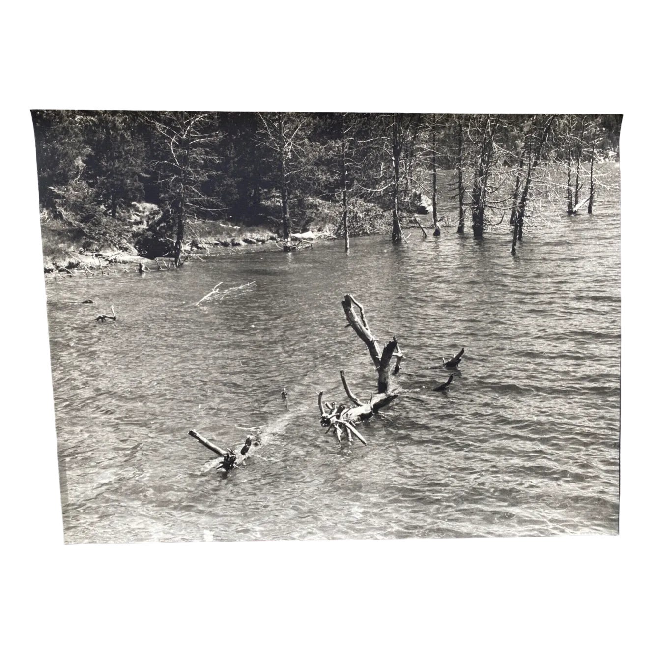 Bernard Darot, Rivière, 20th Century, Silver Gelatin Print | Chairish