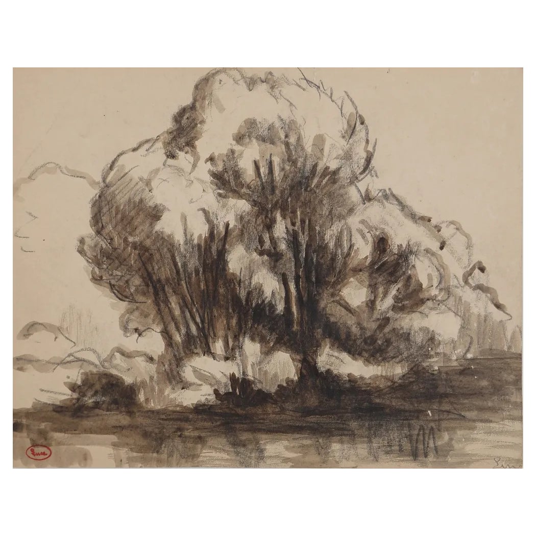 Maximilien Luce, Grove in the Fall, Original Drawing | Chairish