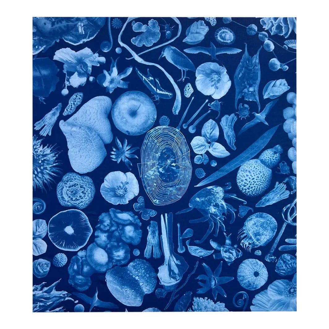 Monochromatic Watercolor and Cyanotype on Cotton Sateen, "Relational ...