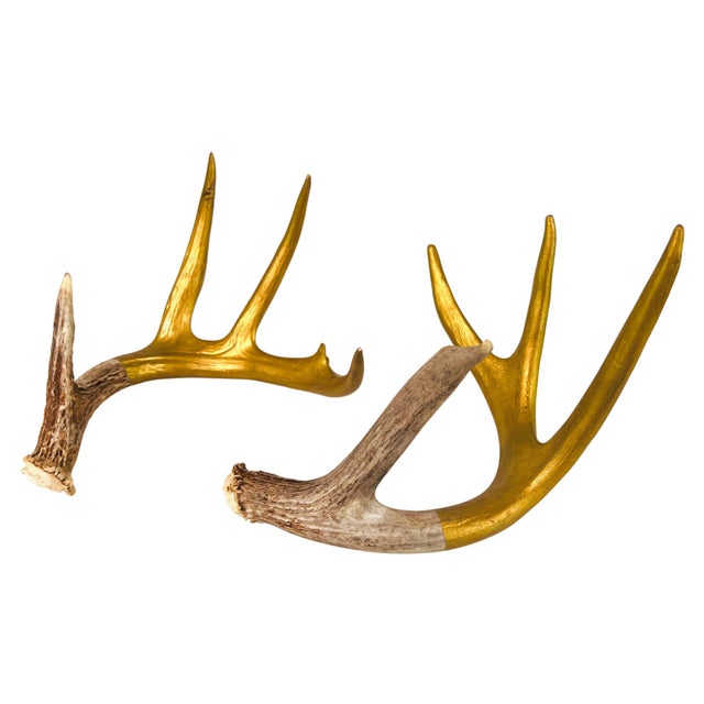 Late 20th Century Hand-Painted Naturally Shed Deer Antlers, Pair | Chairish