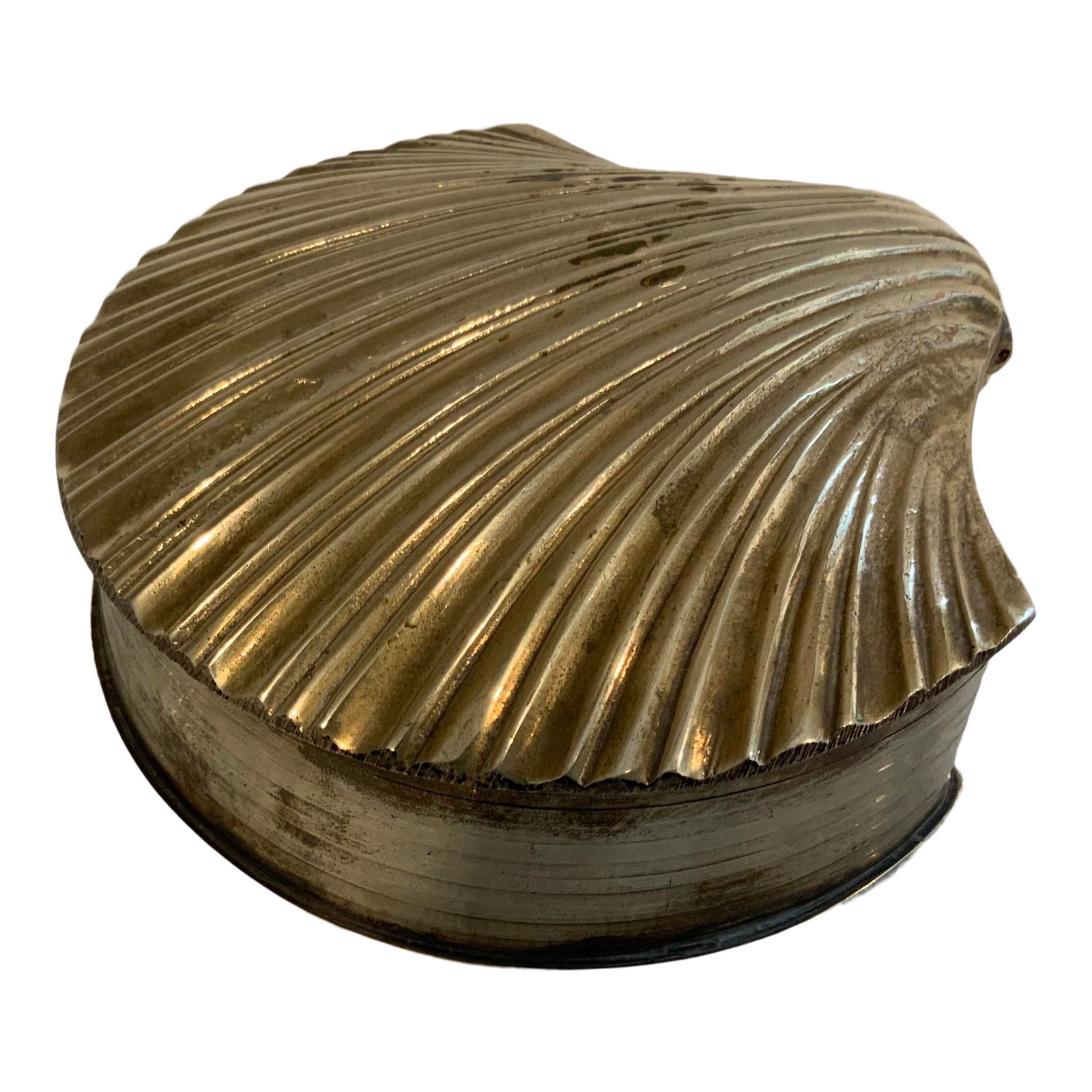 Storage & Organization Jewelry Storage Shell Trinket Box with Shell Lid ...