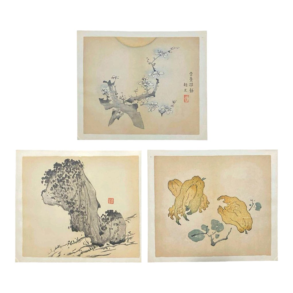 Color Plates From the Ten Bamboo Studio Manual of Calligraphy and ...