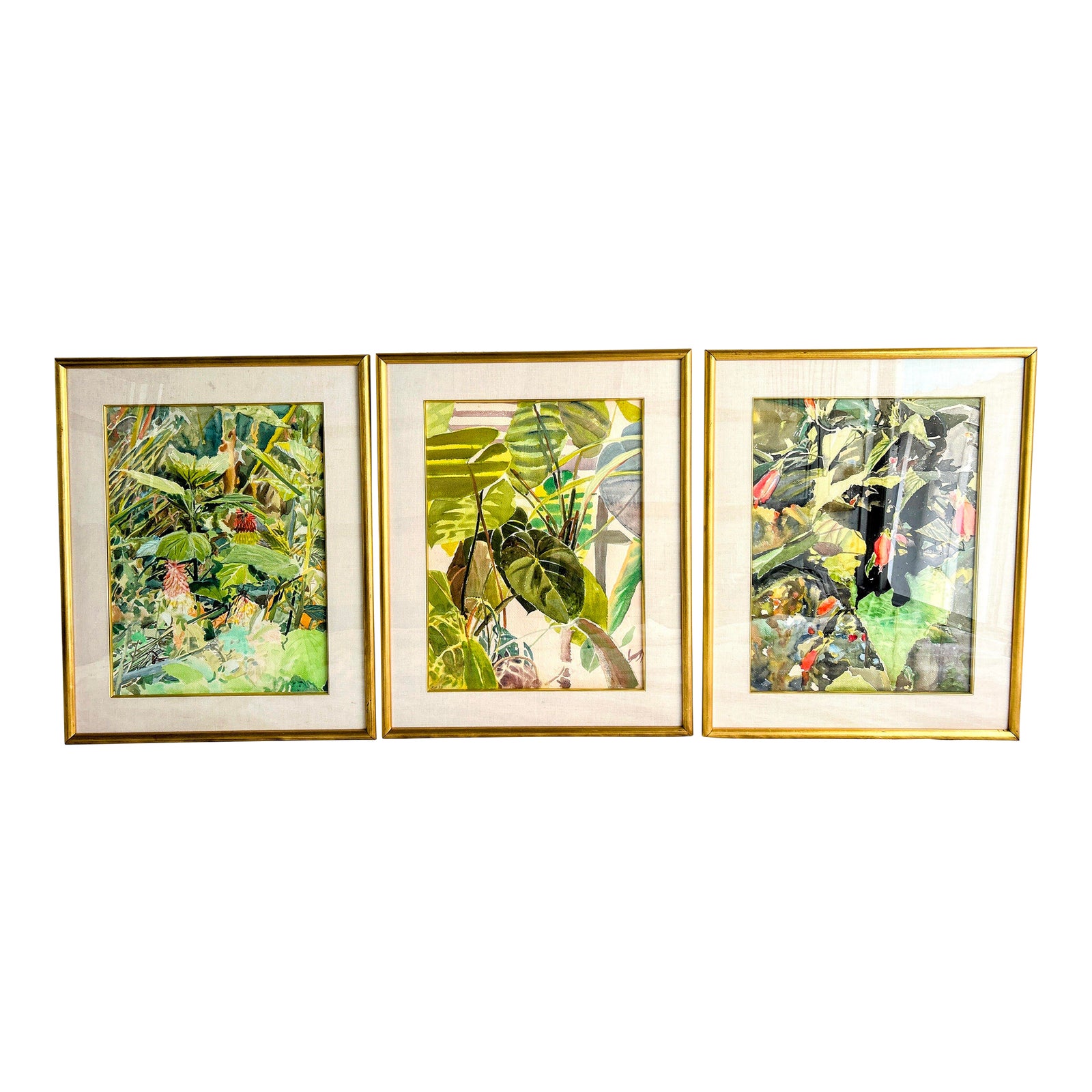 Original Signed Set of Three Roger Howrigan Botanical Watercolor ...