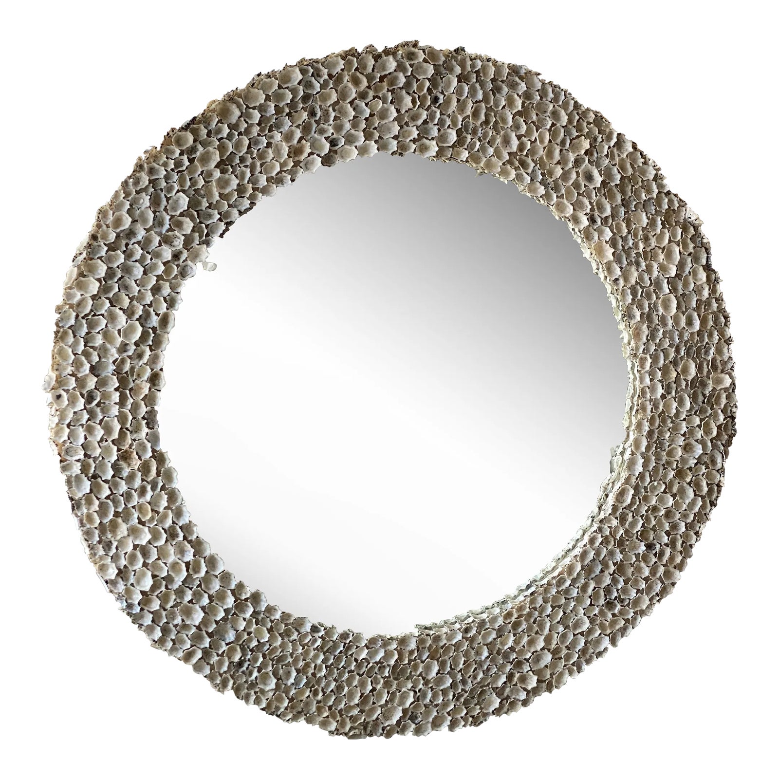 Vintage Seashell Shell Encrusted Round Circular Palm Beach Wall Mirror ...