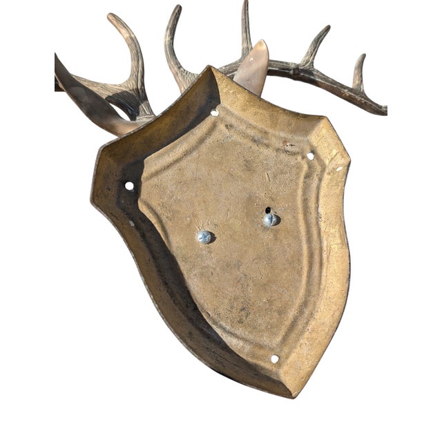 Vintage Bronzed 10 Point Deer Head Mount Sculpture | Chairish