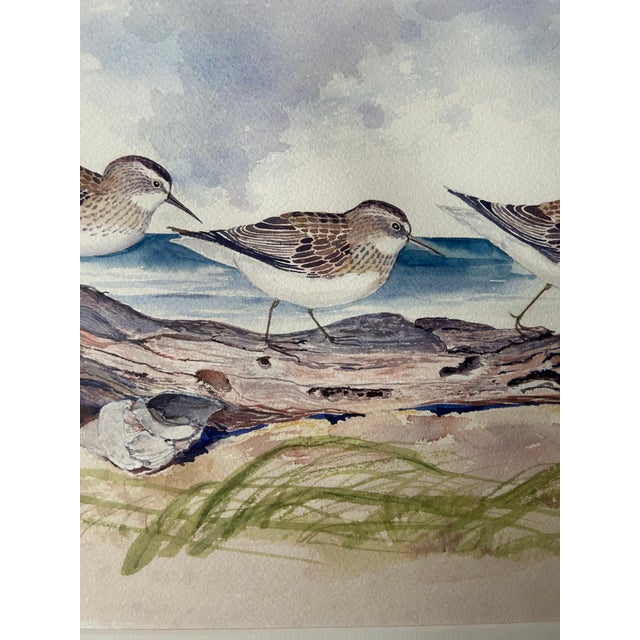 Original Watercolor Painting of Shorebirds on Beach | Chairish