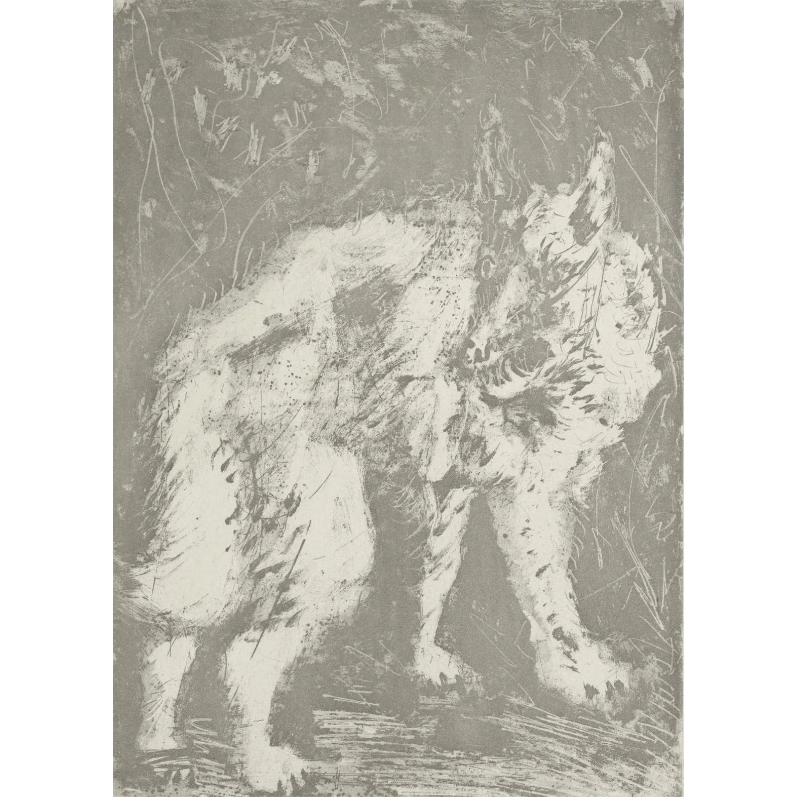 Picasso, Le Loup, Histoire naturelle (after) 1970 | Chairish