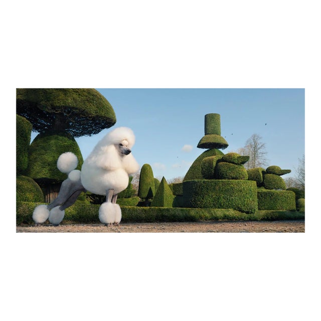 Topiary, Landscape Gardening, Tim Flach, Photograph | Chairish