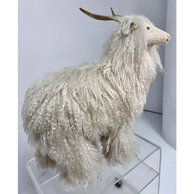 Tibetan Sheep Footstool W Natural Sheep Horns Chairish