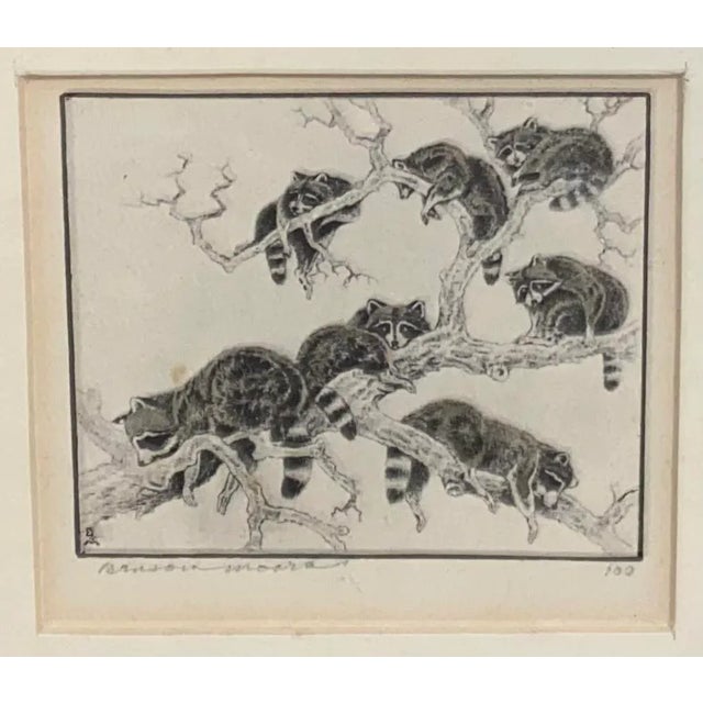 “Raccoons” Miniature Pencil Signed and Numbered Litho by Benson Moore ...