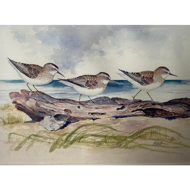 Original Watercolor Painting of Shorebirds on Beach | Chairish