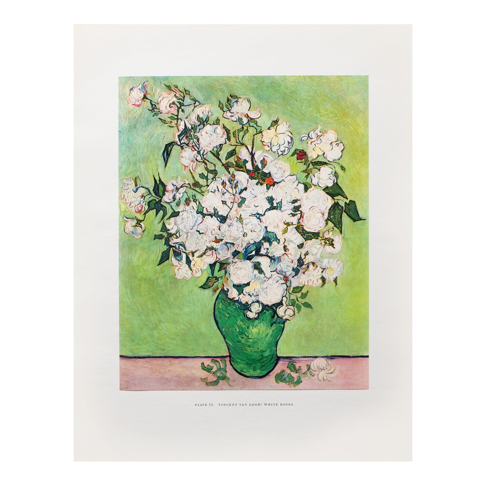 1950s After Vincent Van Gogh "White Roses", First Edition Swiss Full ...