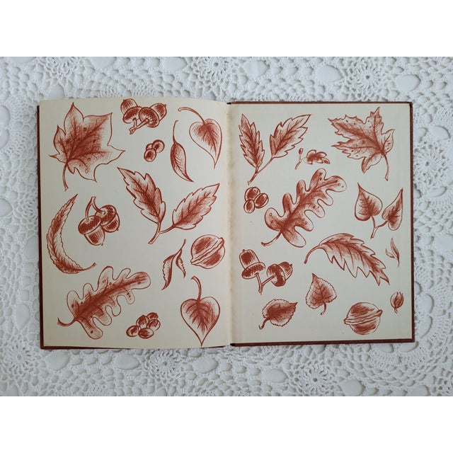 1946 Children's Book, Scatter the Chipmunk by Catherine Cate Coblentz ...