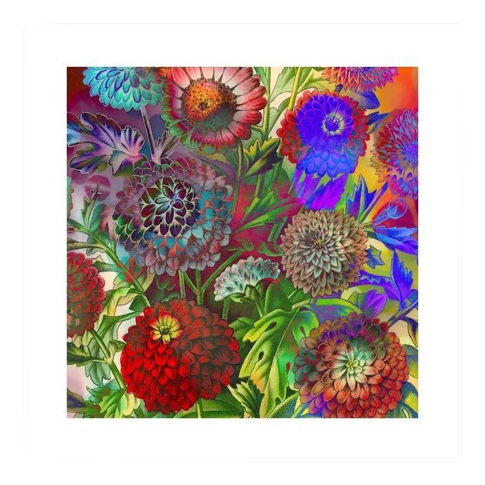 Antique 'Mums' Archival Print | Chairish