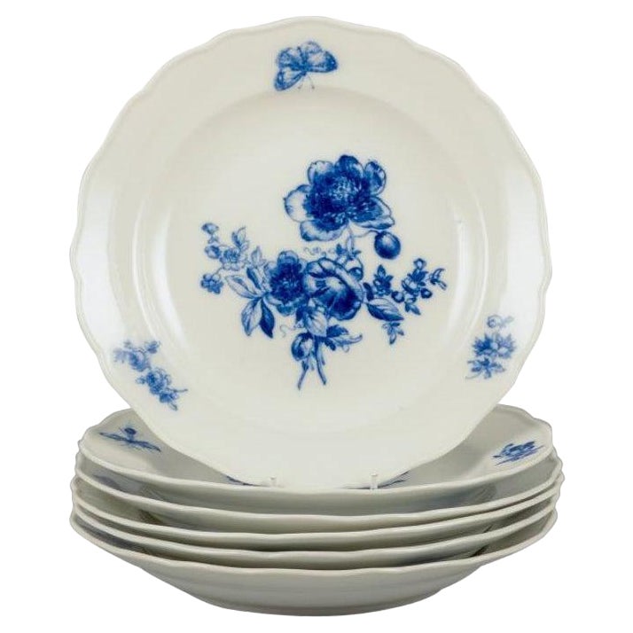 German Dinner Plates in Porcelain from Meissen, 1920s, Set of 6 | Chairish