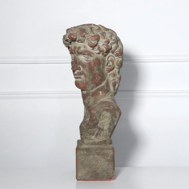 Life-Size Bust of David Plaster Sculpture | Chairish