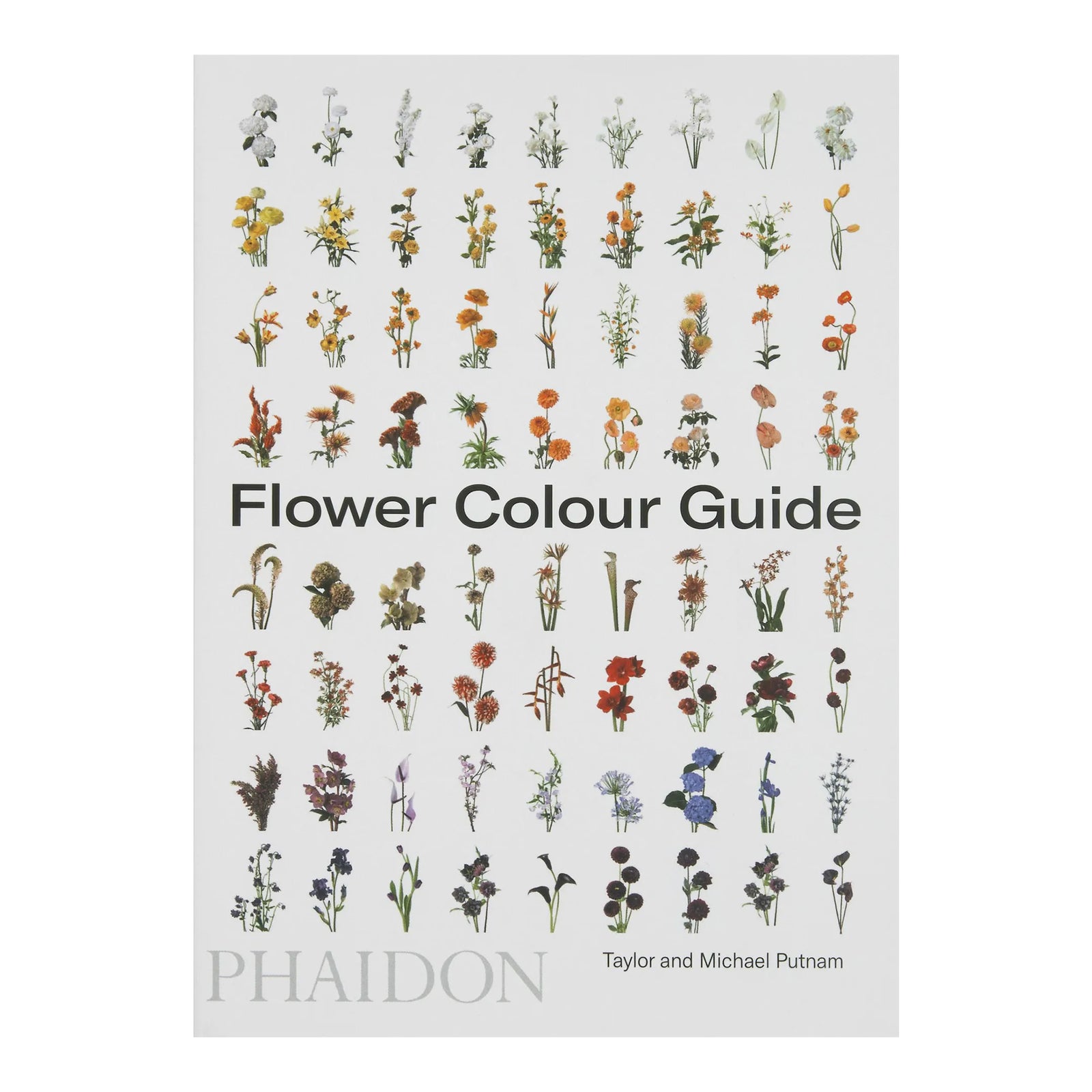 Flower Color Guide | Chairish