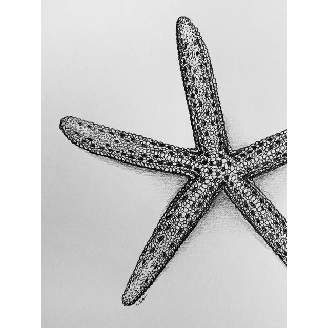 Original Pen & Ink Drawing "The Starfish" | Chairish