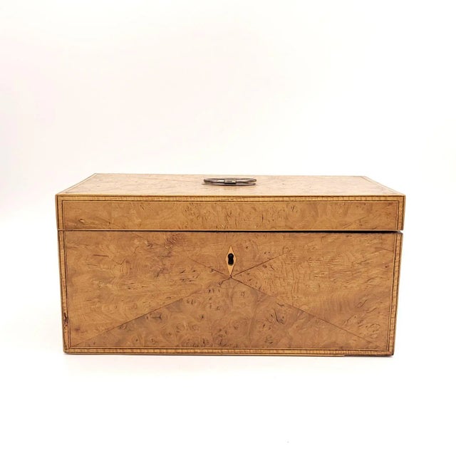 Georgian Pollard Elm Tea Caddy With Boxwood Inlay, Circa 1800 | Chairish