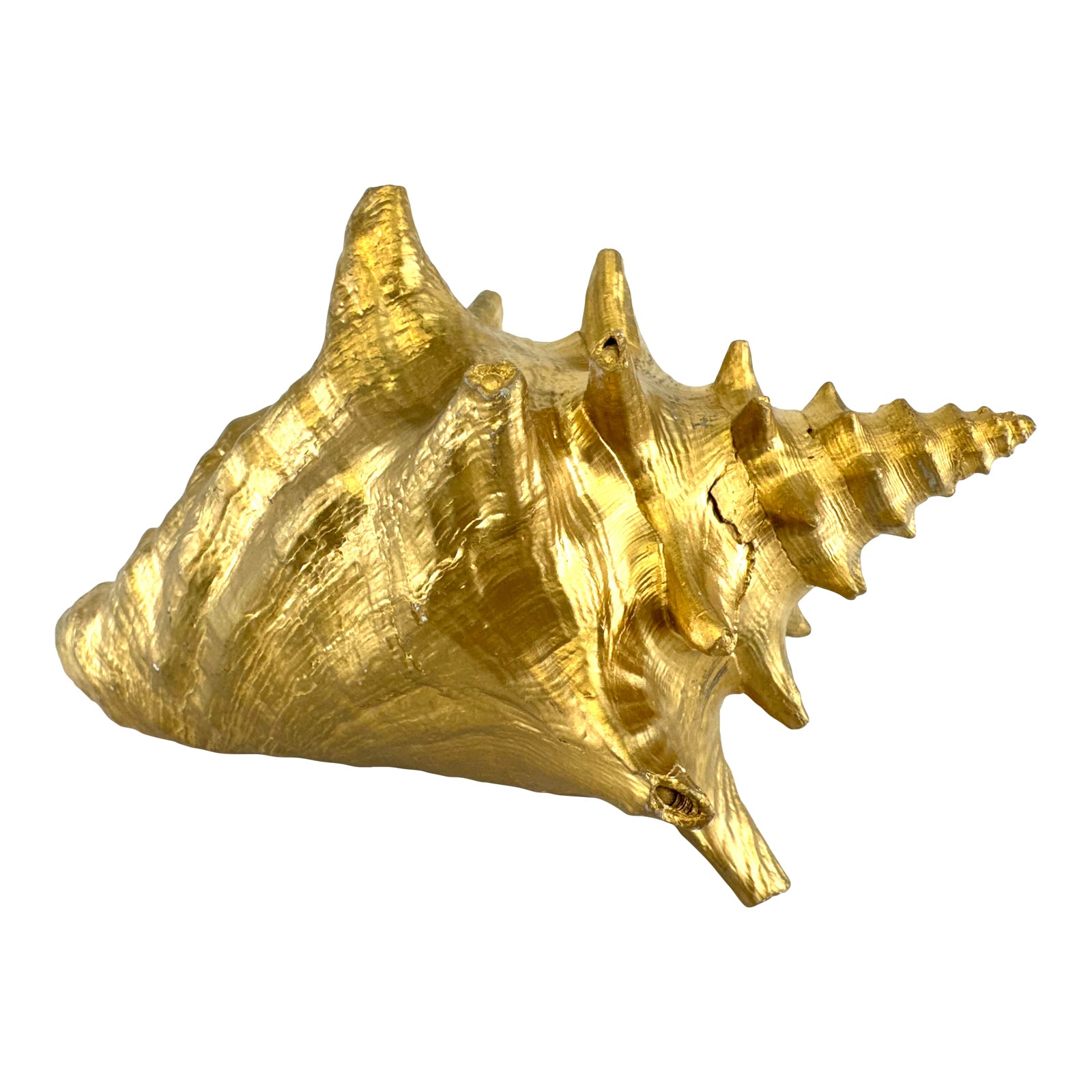 Italian Mid-Century Gilded Conch Shell Decor | Chairish