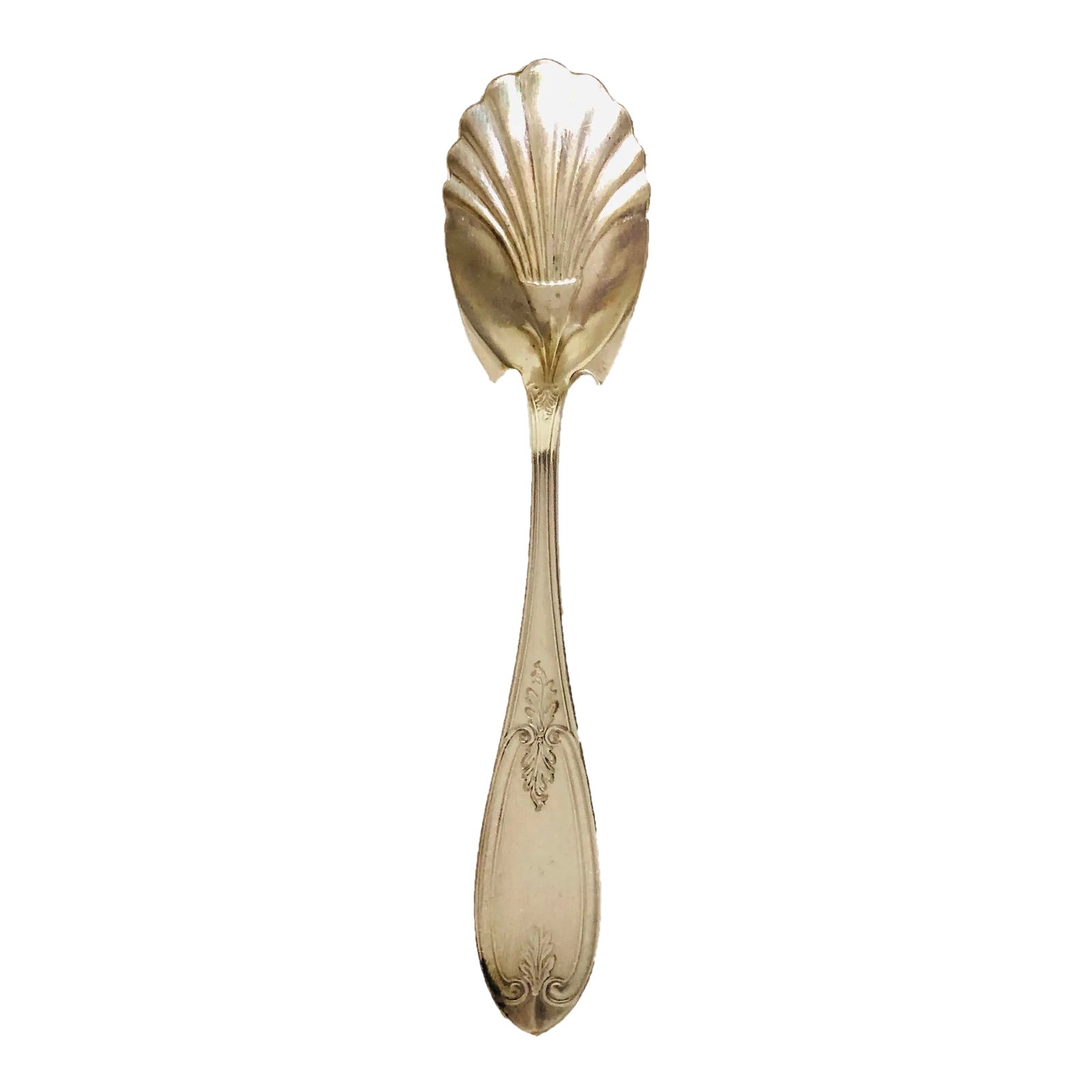 Antique Wm Rogers Silverplate "Olive" Pattern Shell Sugar Spoon | Chairish