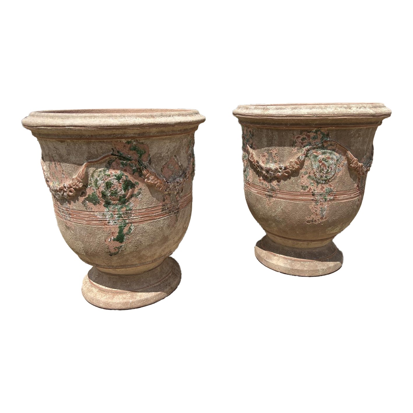 Pair of Antiqued Lemon or Orange Tree Anduze Pots From the Cevennes ...