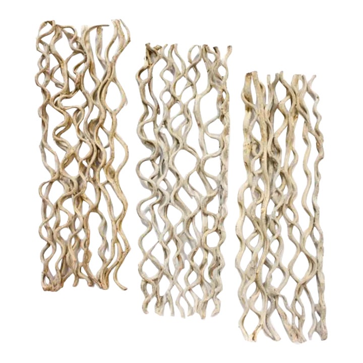Natural Vine Hanging Rectangle Wall Art Set of 3 | Chairish