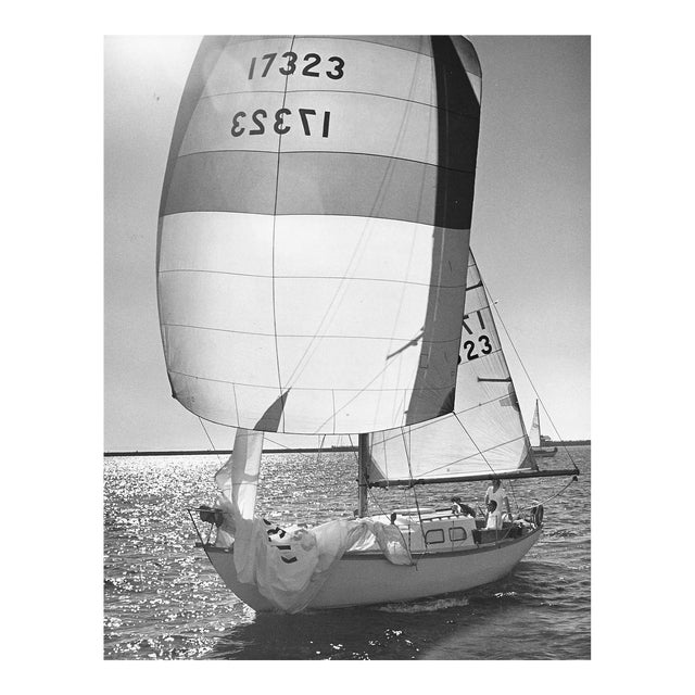 1973 Sailing Black & White Photograph by Don Ware | Chairish