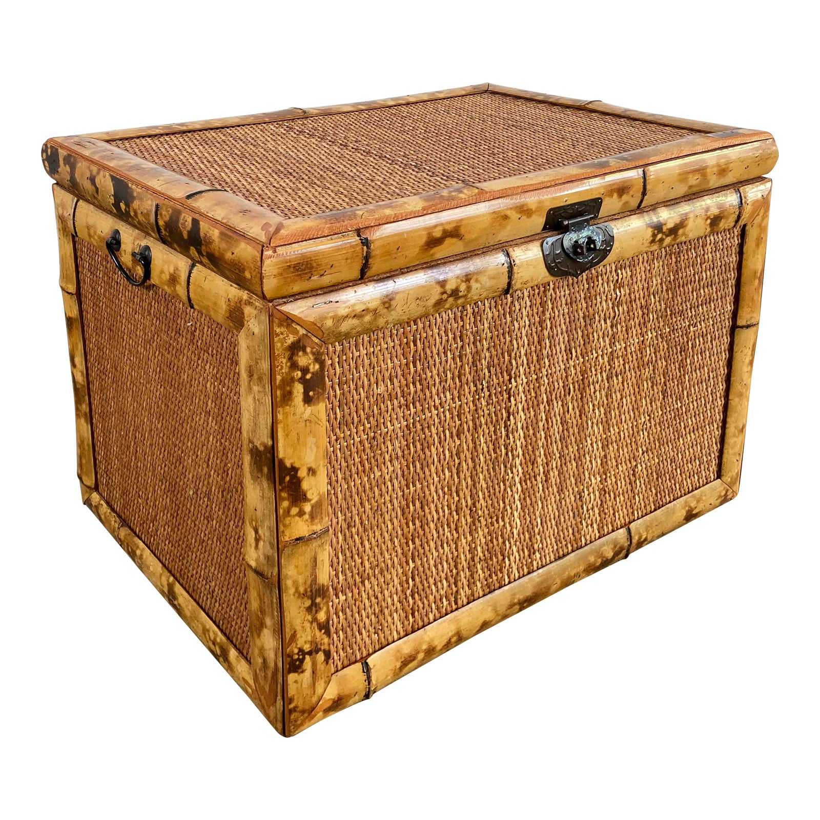 Vintage Burnt Tortoise Shell Rattan and Cane Trunk | Chairish