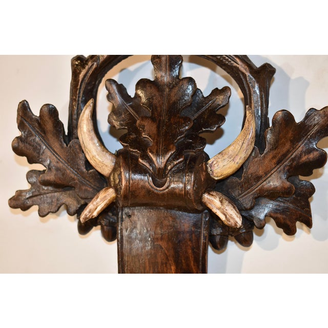 Circa 1900 Boar Tusk Trophy Plaque | Chairish