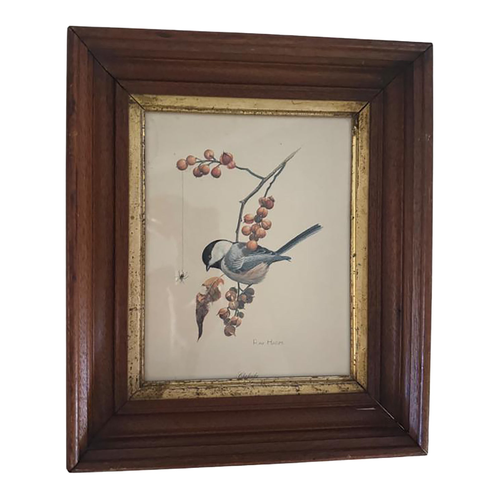 1960s Vintage Framed Ray Harm Print Bird Chickadee Autumn Bittersweet ...