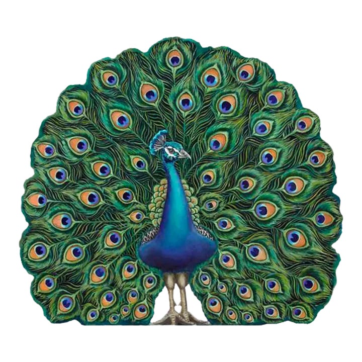 Peacock Fire Screen | Chairish