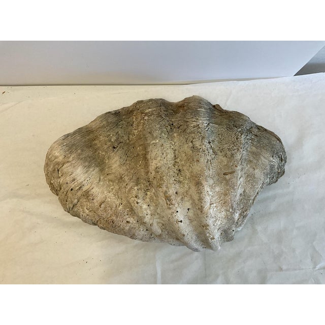 Authentic Giga Shell | Chairish