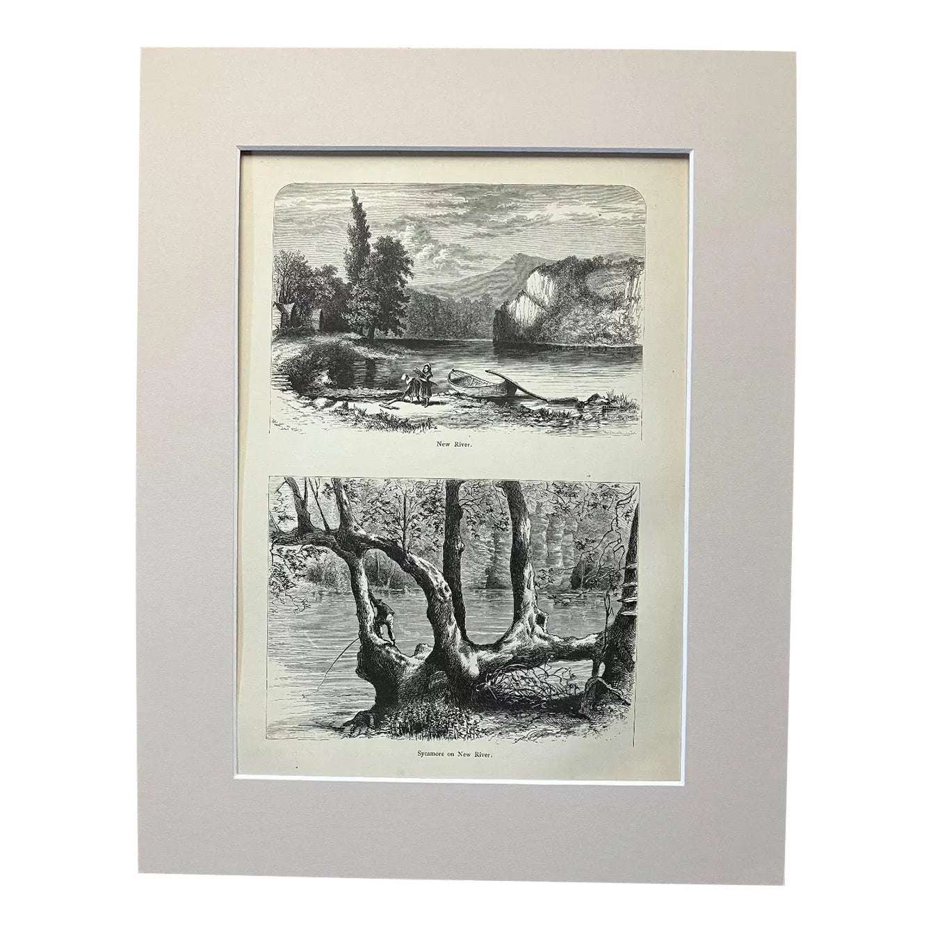 Antique 1874 Wood Engraving "Sycamore on New River... New River" VA in ...