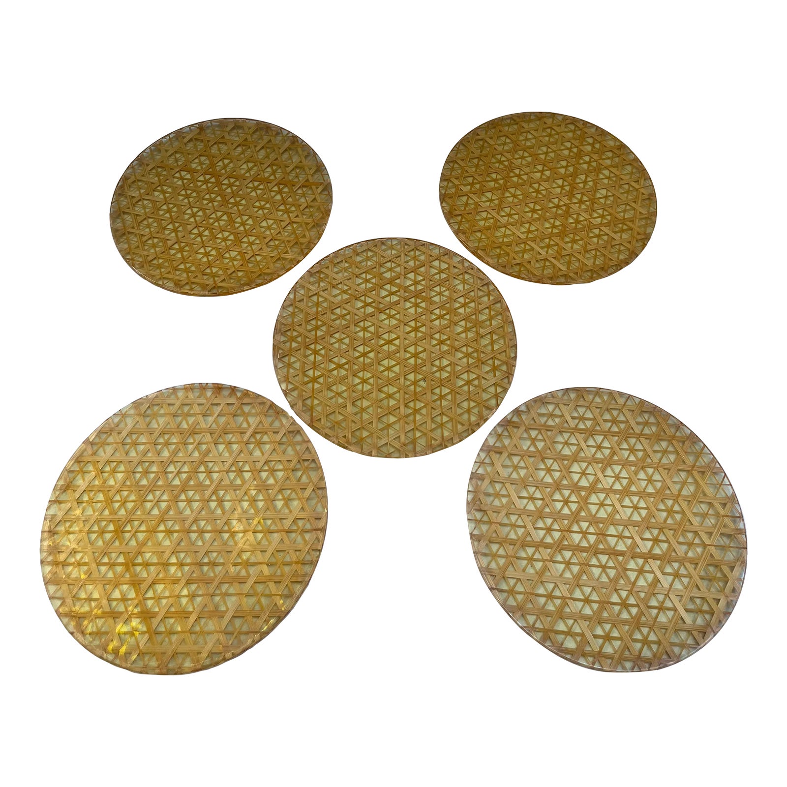 Acrylic Woven Dishes Set of 5 | Chairish