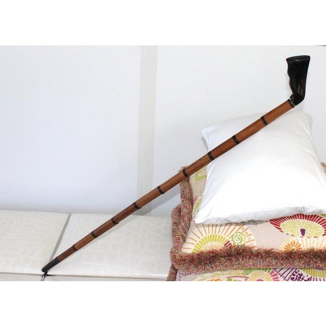 English Walking Stick Cane With Horn Handle | Chairish
