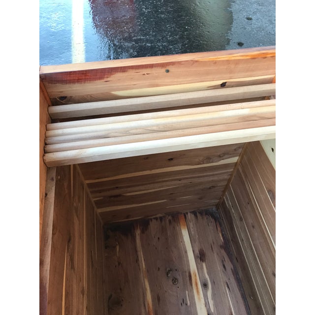 Antique Cedarette Closet /Upright Cedar Chest | Chairish